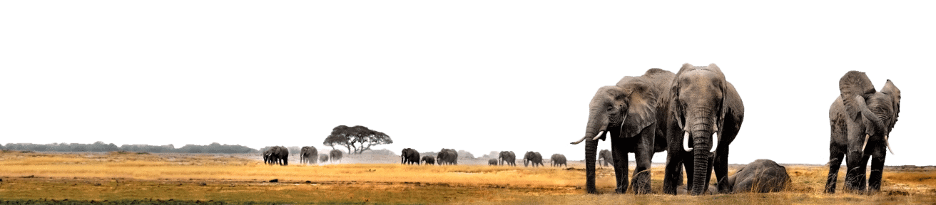 Total Solar Eclipse of 2027: Luxor, Egypt | Guided Tour