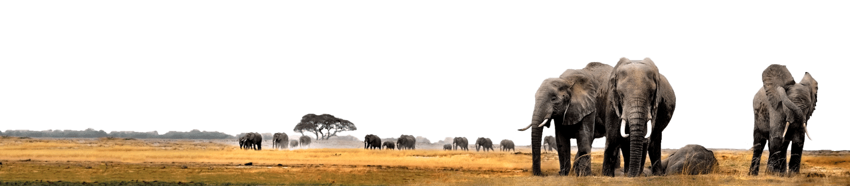 Alps Hiking Tours & Guided Trekking Trips