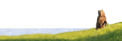 Best Time to Visit the Alps by Month and Season | Hiking the Alps