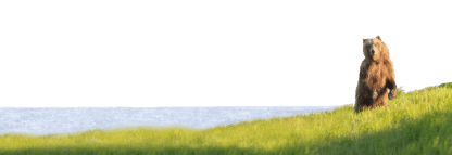 New Trips & Tours for 2026 & 2027 | Wilderness Travel