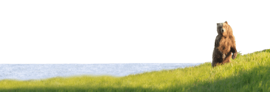 Best Time to Visit the Alps by Month and Season | Hiking the Alps