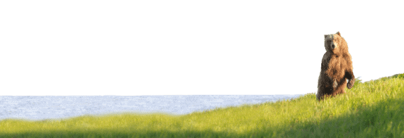 Best Time to Visit the Alps by Month and Season | Hiking the Alps