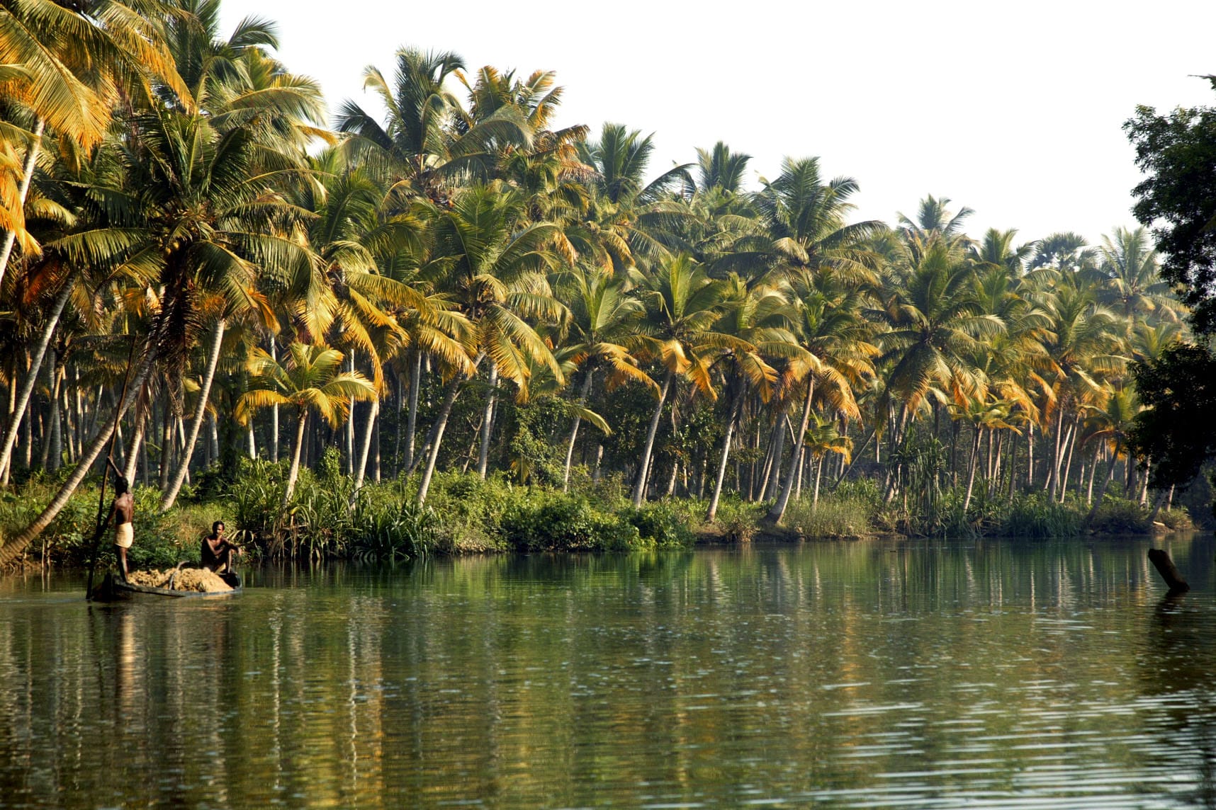South India Extension: The Malabar Coast | Wilderness Travel