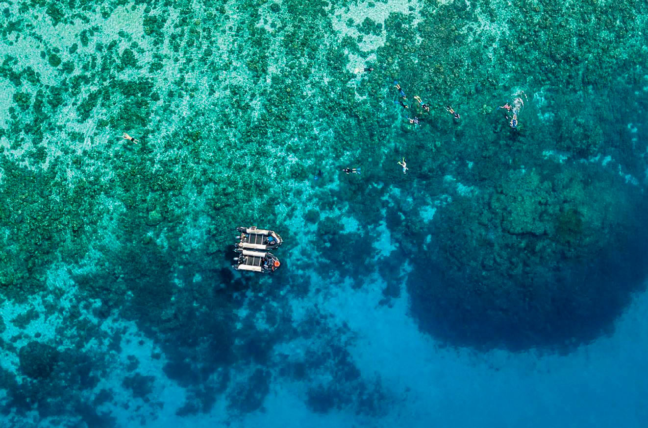 Fiji Snorkeling Tours & Cruises | Best Guided Fiji Trips